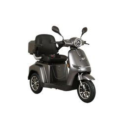 Aktiv mobil Elektromobil &raquo;AM E-Rider 1000, 25 km/h mit Topcase&laquo; 1.000 W 25 km/h Topcase mit Fassungsverm&ouml;gen von ca. 25 l, Staufach mit ca. 19 l grau 