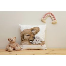queence Dekokissen &raquo;Welpe mit Katze&laquo; Kissenh&uuml;lle mit HD Premium Druck, geruchsneutral, 40x40cm wei&szlig; Polyester B/L: 40cm x 40cm, 1 Stk.