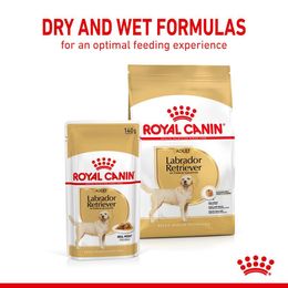 Royal Canin Labrador Retriever Adult Hunde-Trockenfutter 3kg