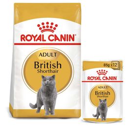 Royal Canin ADULT British Shorthair 10kg + Nassfutter in So&szlig;e 48x85g