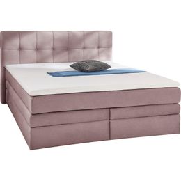 Jockenh&ouml;fer Boxspringbett &raquo;AMY mit Bettkasten, inkl. Taschenfederkernmatratze H&auml;rtegrad H3-H4&laquo; mit 6 cm Kaltschaum-Topper, Samt-Bezug, 180x200 und 200x200 cm 