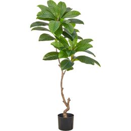 Creativ green Kunstbaum &raquo;Plumeria&laquo; mit fein gezeichnetem Blattwerk Obermaterial: 100% Kunststoff B/H/L: 130cm, 1 Stk.