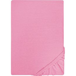 Biberna Spannbettlaken &raquo;Leila&laquo; Bettlaken aus 100% Baumwolle, f&uuml;r Matratzenh&ouml;hen bis 22 cm pink Jersey, Obermaterial: 100% Baumwolle B/L: 200cm, 1 Stk., Jersey