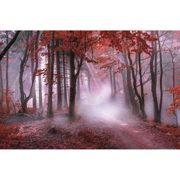 Leinwandbild &raquo;Wandbild NEBEL IM ROTEN WALD 78x118 cm &ndash; Leinwandbild Keilrahmen Deko&laquo; Natur Wald mystischer Wald 1 Stk. tlg. auf Keilrahmen gespannt 