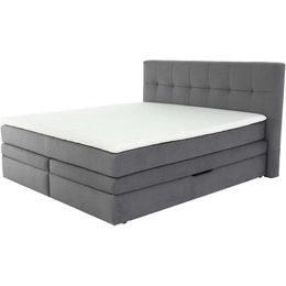 Jockenh&ouml;fer Boxspringbett &raquo;AMY mit Bettkasten, inkl. Taschenfederkernmatratze H&auml;rtegrad H3-H4&laquo; mit 6 cm Kaltschaum-Topper, Samt-Bezug, 180x200 und 200x200 cm grau