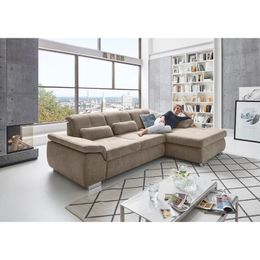 Die PlanBar Ecksofa &raquo;MP-IN16037 L-Form, Breite 289 cm, mit Federkern-Polsterung&laquo; mit Sitztiefenverstellung & Zierkissen braun 100% Polyester B/H/T: 