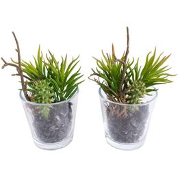 K&uuml;nstliche Zimmerpflanze &raquo;Sukkulenten Arrangement im Glas&laquo; gr&uuml;n Kunststoff &Oslash;/H: 11cm x 15cm, 2 Stk.