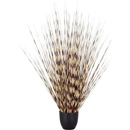 Creativ green Kunstgras &raquo;Grasbusch Miscanthus&laquo; mit au&szlig;ergew&ouml;hnlicher Farbgestaltung Obermaterial: 100% Kunststoff B/H/L: 90cm, 1 Stk.