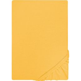 Spannbettlaken &raquo;Jersey in Gr. 90x200, 140x200 oder 180x200 cm&laquo; aus Baumwolle, f&uuml;r Matratzen bis 22 cm H&ouml;he, Bettlaken, Spannbetttuch orange Jersey, 