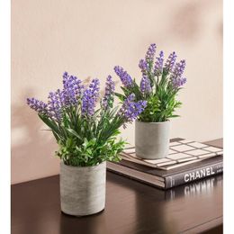OTTO home Kunstpflanze &raquo;Effetamo&laquo; im Topf, 2er Set lila Kunststoff B/H/L: 13cm x 23cm, 2 Stk.