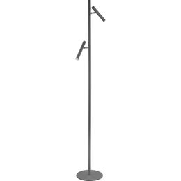 HELL h&ouml;llisch gutes Licht LED Stehlampe &raquo;STREAK&laquo; LED-Modul 1 Stk. Warmwei&szlig; Tastdimmer schwarz 2, &Oslash; 25cm H: 163cm, 1 Stk.