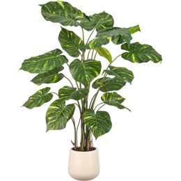Creativ green Kunstpflanze &raquo;Epipremnum aureum&laquo; mit wundersch&ouml;ner Blattgestaltung Obermaterial: 75% Polyester, 25% Kunststoff B/H/L: 150cm, 1 Stk.