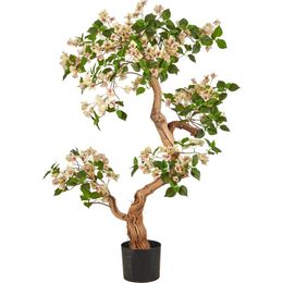 Creativ green Kunstbaum &raquo;Bougainvillea&laquo; mit traumhaft sch&ouml;nen Bl&uuml;ten Obermaterial: 60% Polyester, 40% Kunststoff B/H/L: 130cm, 1 Stk.