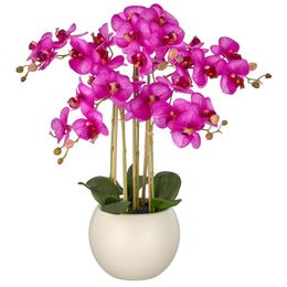 Creativ green Kunstorchidee &raquo;Phalaenopsis&laquo; mit Real-Touch-Bl&uuml;ten pink Obermaterial: 100% Kunststoff B/H/L: 65cm, 1 Stk.