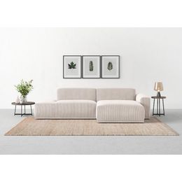 Trendmanufaktur Ecksofa &raquo;Braga, mit hochwertigem Kaltschaum, L-Form, Japandi-Design&laquo; modernes Sofa, Couch mit hohem Sitzkomfort, 275/72/160 cm (B/H/T)