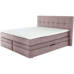 Jockenh&ouml;fer Boxspringbett &raquo;AMY mit Bettkasten, inkl. Taschenfederkernmatratze H&auml;rtegrad H3-H4&laquo; mit 6 cm Kaltschaum-Topper, Samt-Bezug, 180x200 und 200x200 cm rosa