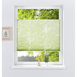 OTTO home Plissee &raquo;Anna&laquo; Lichtschutz ohne Bohren verspannt transparentes &Auml;stemotiv, Bestseller, F&uuml;r Fenster & T&uuml;r, Sonnenschutz gr&uuml;n Obermaterial: 70%