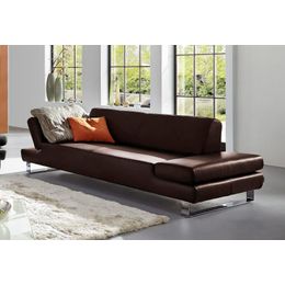 3-Sitzer W.Schillig, B:232cm H:76cm T:101cm, braun, Flachgewebe S22 (100% Polyester);Stoff S37 (100% Polyester): Luxus-Microfaser in