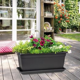 Pflanzk&uuml;bel Scheurich, B:80cm H:34cm T:40cm, grau, Kunststoff, Terasse, Pflanzgef&auml;&szlig;e, "f&uuml;r ideale Pflege ohne Staun&auml;sse", mit Wasserreservoir und