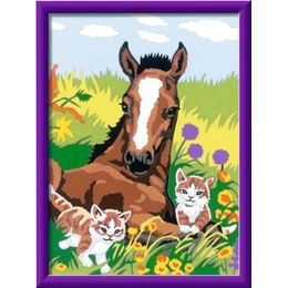 Ravensburger Malprodukte S&uuml;&szlig;e Tierkinder in bunt | Gr.: onesize
