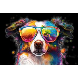 Leinwandbild B&Ouml;NNINGHOFF, B:90cm H:60cm T:1,8cm, schwarz, Canvas, MDF, Wohnzimmer, Bilder, "Wandbild BUNTER HUND 60x90 cm &ndash; Leinwandbild Keilrahmen