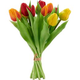 Kunsttulpe Creativ green, H:30cm, bunt, Kunststoff, Kunstpflanzen, "Tulpenbund", aus 12 Einzelstielen