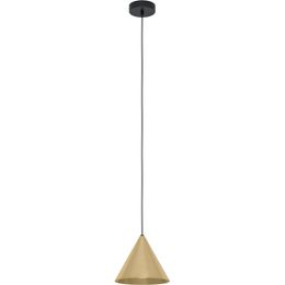 Eglo H&auml;ngeleuchte "NARICES", &Oslash; 22cm H: 110cm, 1 Stk., schwarz, Wohnzimmer, Leuchten, H&auml;ngeleuchte in schwarz aus Stahl - exkl. E27 - 40W