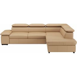 Sit & More Ecksofa SIT & MORE, B:272cm H:73cm T:226cm, braun, NaturLEDER, Wohnzimmer, Sofas, "Alcudia L-Form, B: 272 cm, Arm- und Kopfteilverstellung,