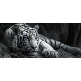 Leinwandbild B&Ouml;NNINGHOFF, B:140cm H:60cm T:1,8cm, schwarz, Canvas, MDF, Wohnzimmer, Bilder, "Wandbild TIGER XXL 60x140 cm &ndash; Leinwandbild Keilrahmen