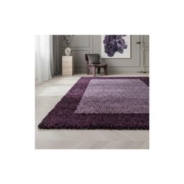KADIMA DESIGN Hochflorteppich RHEIN, mit Bord&uuml;re, Violett, 300 x 400 cm