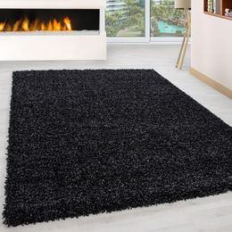 KADIMA DESIGN Hochflorteppich RHEIN, einfarbig, Anthrazit, 200 x 290 cm