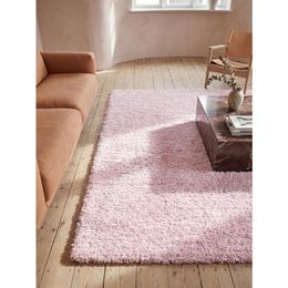 KADIMA DESIGN Teppich Hochflor RHEIN in Rosa, einfarbig, 240 x 340 cm