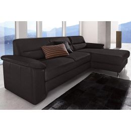 Sit & More Ecksofa SIT & MORE, B:251cm H:85cm T:165cm, schwarz, NaturLEDER (echtes Rindsleder), Korpus in Kunstleder SOFTLUX;Luxus-Microfaser (100%