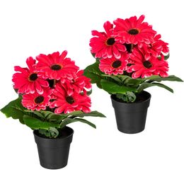 Kunstpflanze OTTO HOME, B:15cm H:27cm, pink, Obermaterial: 50% Kunststoff, 50% Polyester, Badezimmer, Kunstpflanzen, "Elaine", im Topf, 2er Set