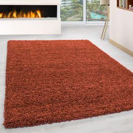 KADIMA DESIGN Teppich Hochflor RHEIN in Terrakotta, einfarbig, 300 x 400 cm