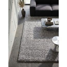 KADIMA DESIGN Hochflorteppich RHEIN, einfarbig, aus Polypropylen, Hellgrau, 100 x 200 cm