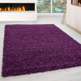 KADIMA DESIGN Hochflorteppich RHEIN, einfarbig, Violett, 120 x 170 cm