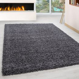 KADIMA DESIGN Hochflorteppich RHEIN, einfarbig, Grau, 240 x 340 cm