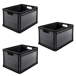 keeeper Transportbeh&auml;lter "Transportbox robert, 3er Set, 64 L, 60 x 40 x 32 cm", B/H/L: 40cm x 32cm x 60cm, schwarz, Transportboxen, s&auml;ure- und