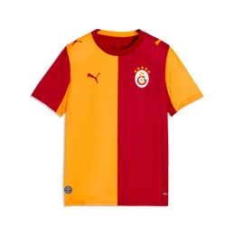Puma Jungen Fu&szlig;balltrikot "GSK HOME JERSEY REPLICA JR"schwarz cherry, summer sunset, Gr. 140, unifarben, Web, Obermaterial: 100% Polyester, Trikots,