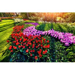 papermoon Fototapete "Blumen im Garten", B/L: 2m x 1,49m, Bahnen: 4 Stk., bunt, Schlafzimmer, Tapeten