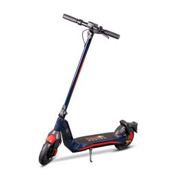 Oracle Red Bull Racing RB-RNINEXL10-10 RS 1000