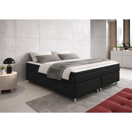 SONSTIGE Box 180 cm mit 7 Zonen Taschenfederkernmatratze und Topper Webstoff Schwarz