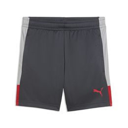 Puma Sportshorts 'Individual Liga' Jungen Gr&ouml;&szlig;e 116 hellgrau / dunkelgrau / rot
