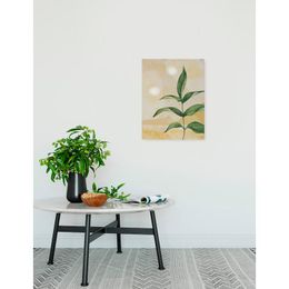Komar Leinwandbild &raquo;Desert Survivor - Gr&ouml;&szlig;e 30 x 40 cm&laquo; Natur 1 Stk. tlg. Keilrahmenbild mi Echtholzrahmen bunt Massivholz, Papier B/H/T: 30cm, Natur, 1 Stk