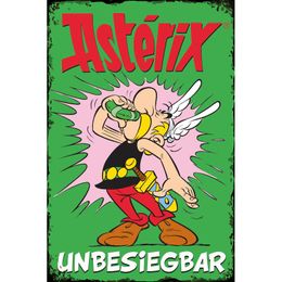 LuckyLinde Metallbild &raquo;Asterix Unbesiegbar&laquo; Fantasy Figuren Film Filmfiguren 1 Stk. tlg. Stahlschild 20x30 cm Wanddeko Bild zum Film "Kampf der 