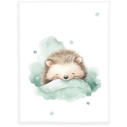 Baby Best Babydecke &raquo;babybest Kleiner Igel&laquo; niedliches Motiv bunt Polyester B/L: 75cm x 100cm