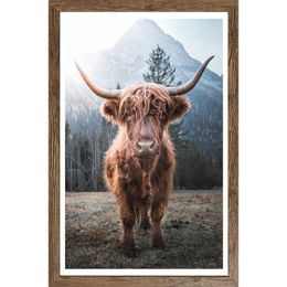 Bild mit Rahmen &raquo;Wandbild gerahmt HOCHLANDRIND 50x70 cm &ndash; Rustikale Tierdeko aus den&laquo; Berge Hochlandrind Landschaft Natur Tiere 1 Stk. tlg. mit 
