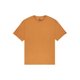 Quiksilver T-Shirt 'Salt Water' Herren Gr&ouml;&szlig;e S hellbraun