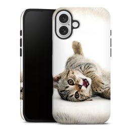 DeinDesign iPhone 16 Plus Handy Panzer Handyh&uuml;lle robuste Outdoor H&uuml;lle Schutzh&uuml;lle matt Cat Pet Animals Tough Case